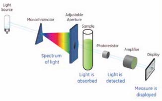 Spectroscopy and DNA concentration measurement – Molecular cytogenetics ...